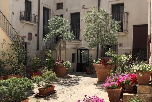 Altamura: Borgo in fiore: verde e piante per renderlo più bello